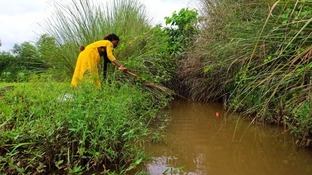 Fishing video 🐠🐠 | Hook Fishing In village canal | lady catching fish ...