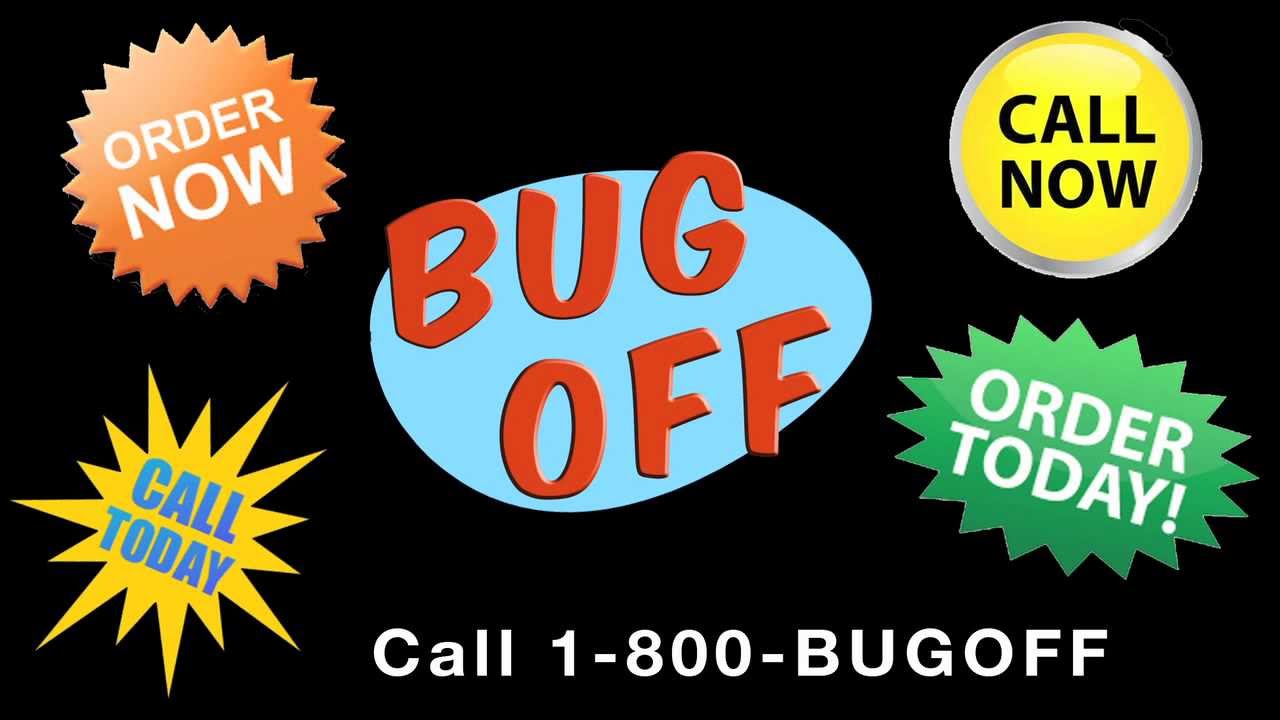 Bug Off - YouTube