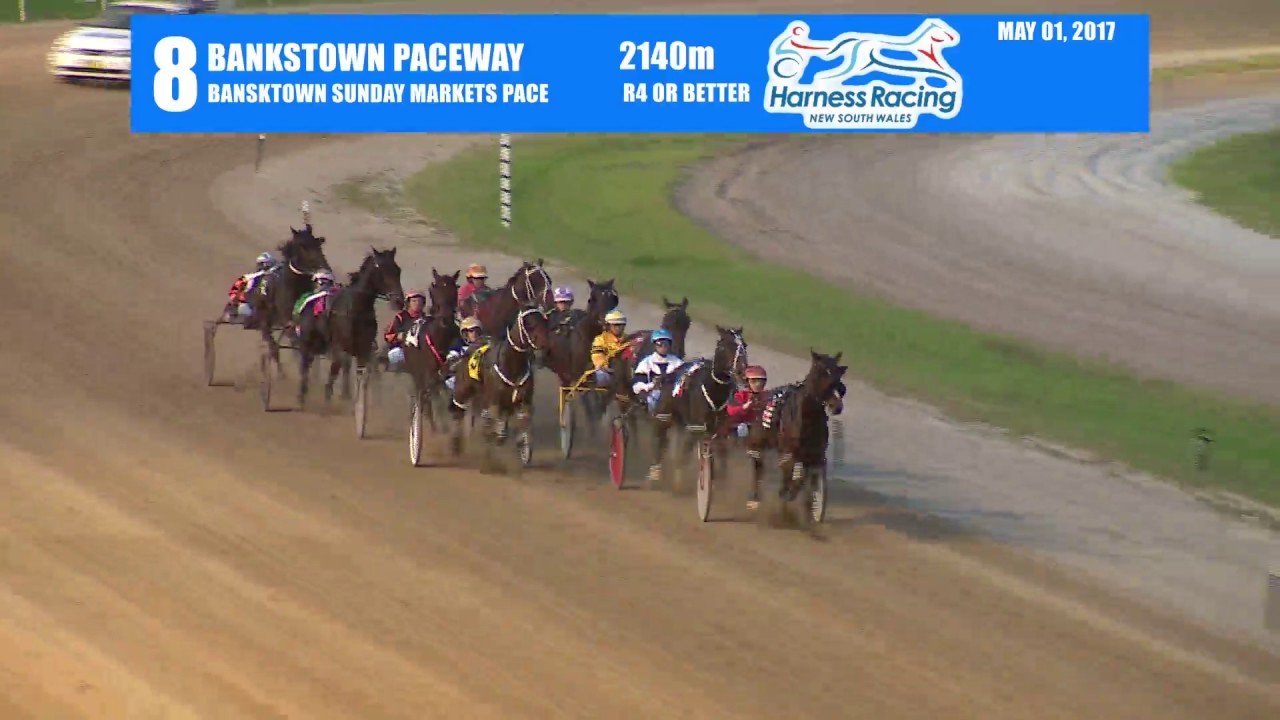 BANKSTOWN - 01/05/2017 - Race 8 - BANKSTOWN SUNDAY MARKETS PACE - YouTube
