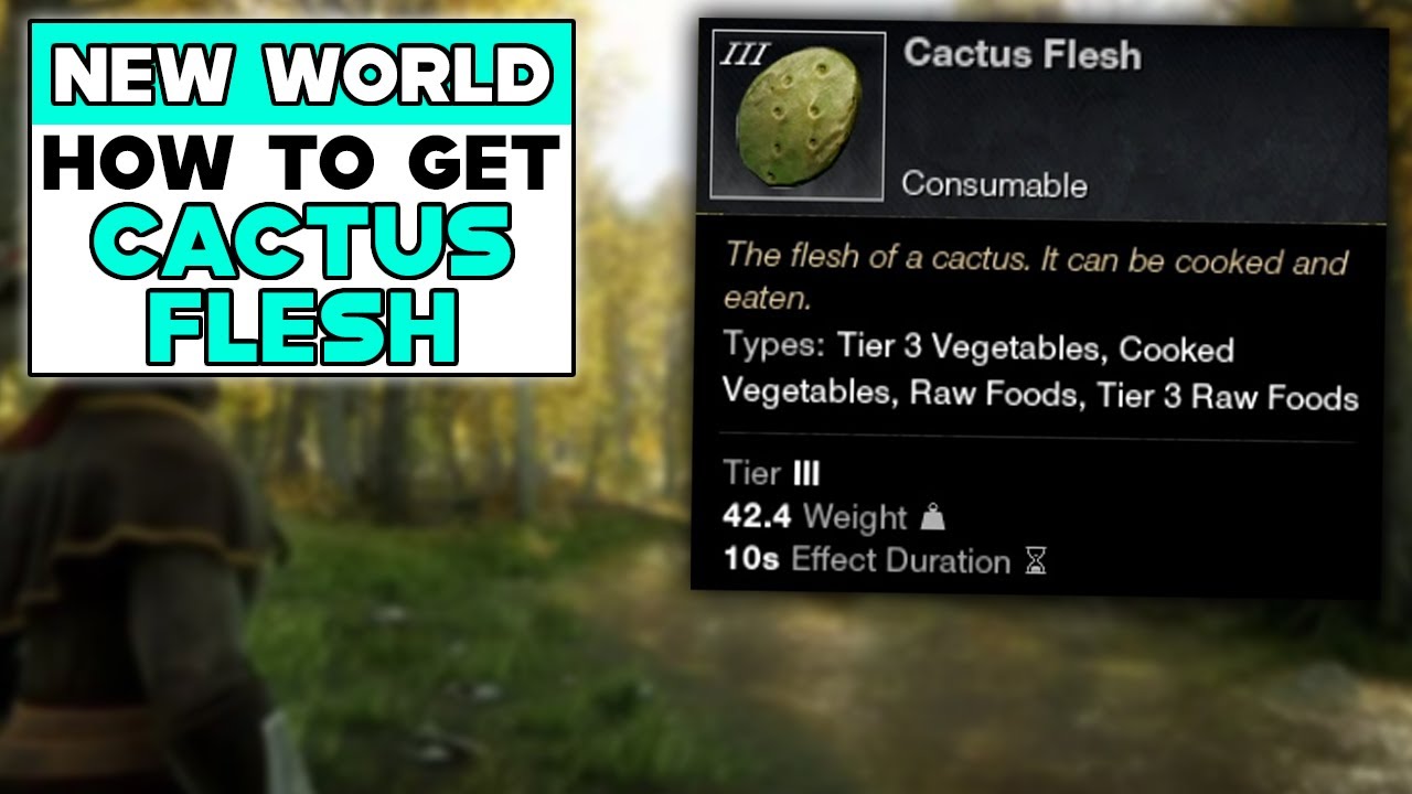 NEW WORLD How To Get CACTUS FLESH - YouTube