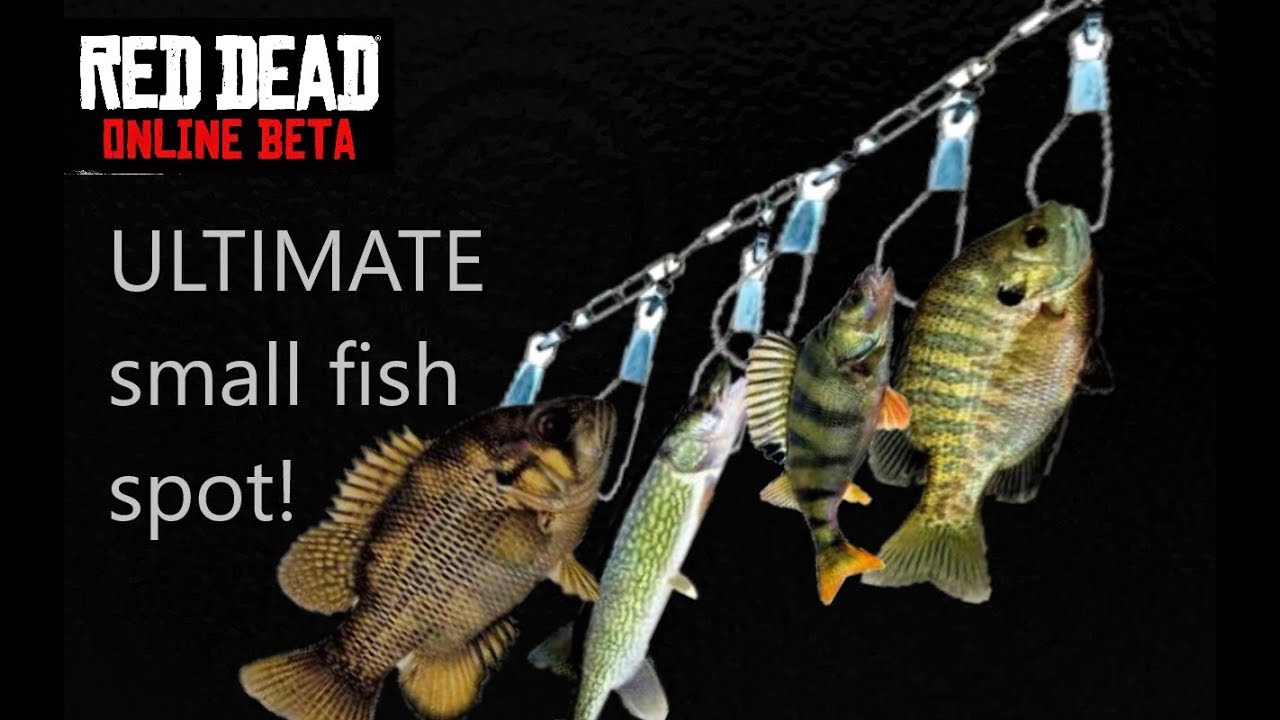ULTIMATE small fish Fishing Spot (BLUEGILL, PERCH, CHAIN PICKEREL, ROCK ...