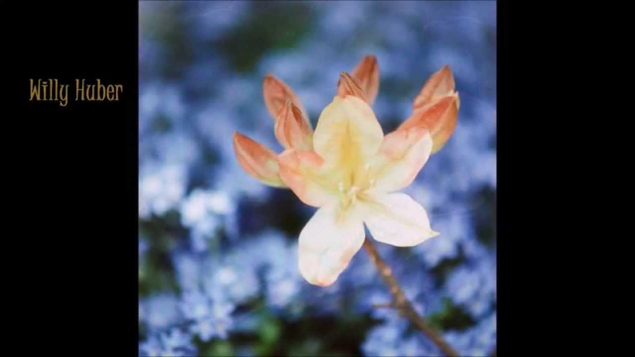 Willy Huber - When you're smiling - YouTube