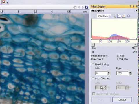 Using QImaging Cameras in Olympus CellSens Software - YouTube