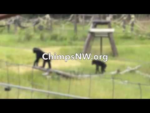 Snake Hunters - YouTube