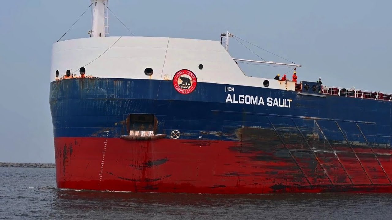 Algoma Sault - A Bear Charges into Superior - YouTube
