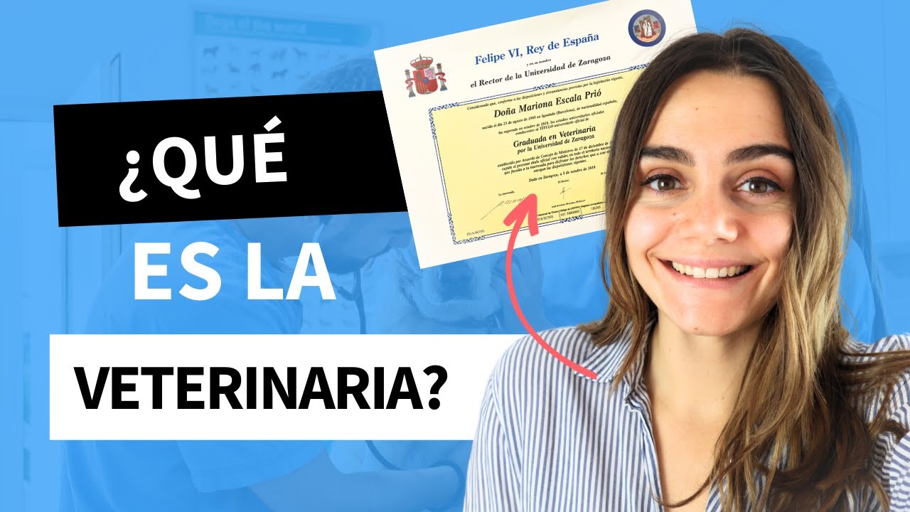 ¿Qué es la veterinaria? la definición de veterinaria | ¿Qué significa ...