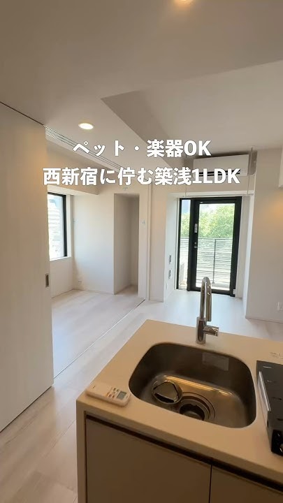 【ペット・楽器OK】築1年の1LDKマンション #shorts - YouTube