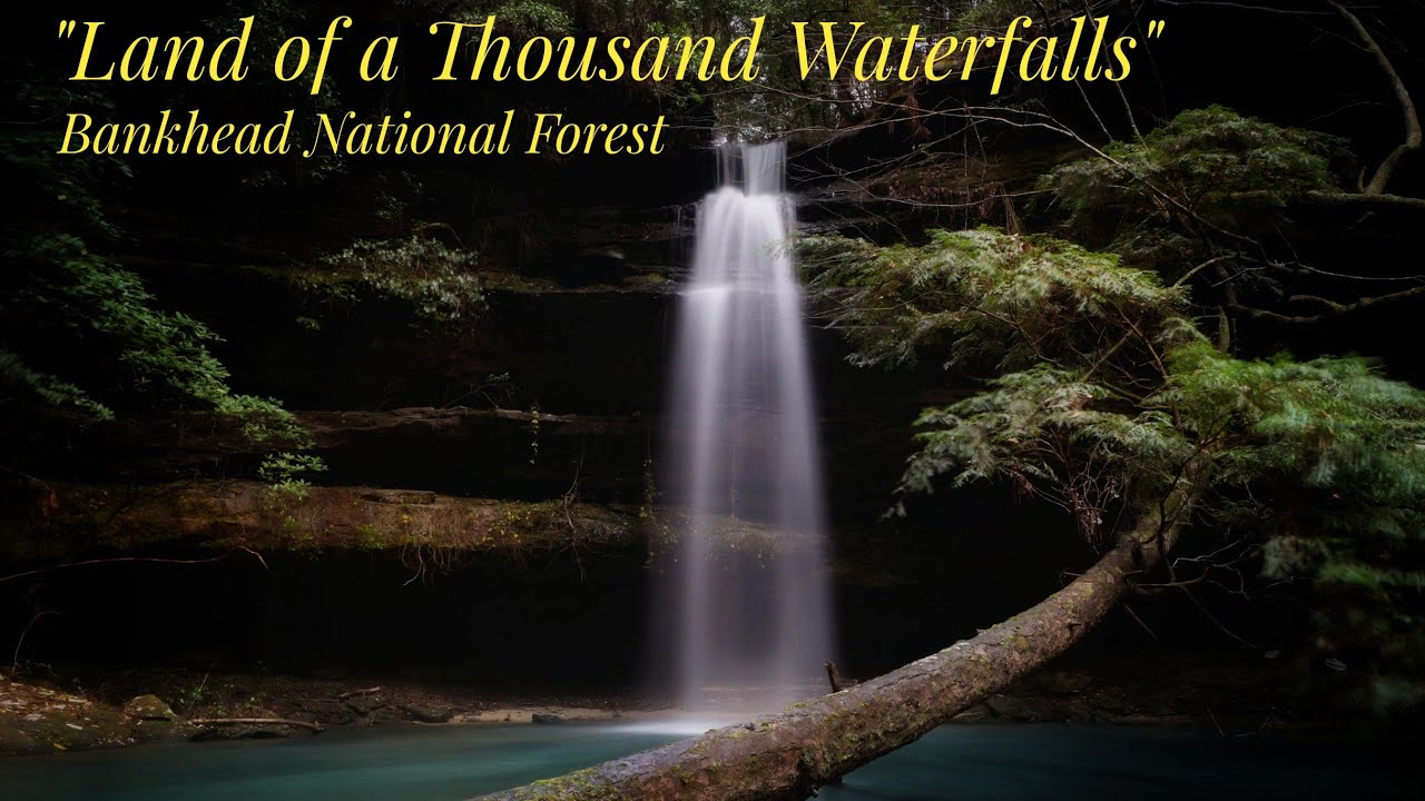 "Land of a thousand waterfalls" -William B. Bankhead National Forest ...