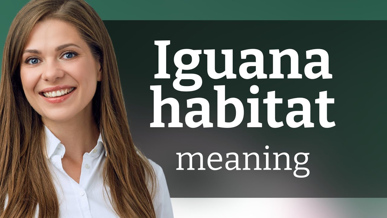 Understanding "Iguana Habitat": An English Language Learning Guide - YouTube