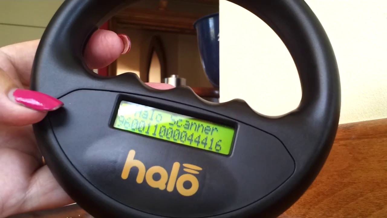 Halo chip reader/scanner - YouTube