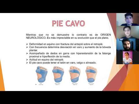 Morfología del pie - YouTube