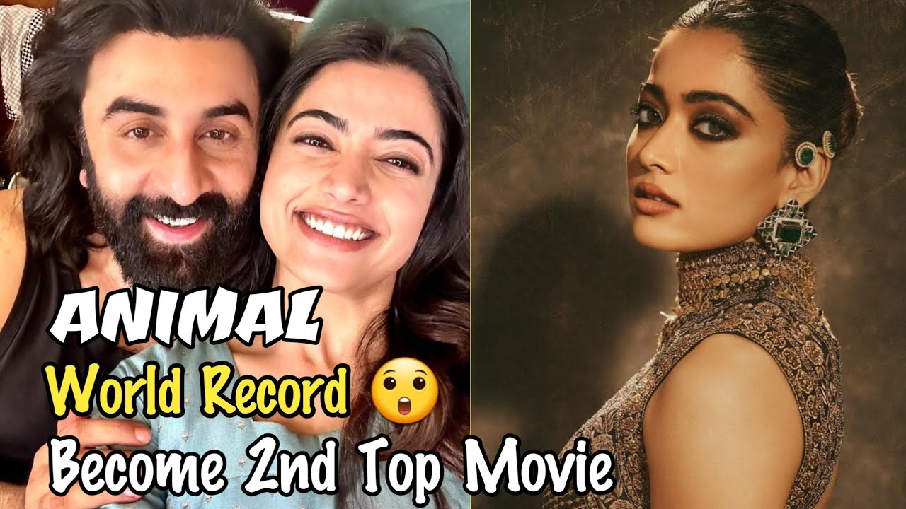Animal Movie Record | Animal Becomes 2nd Top Grossing Movie | Total Box ...