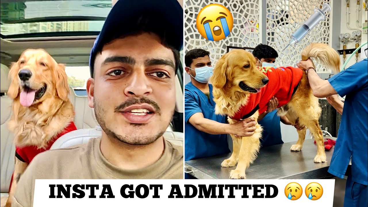 OMG insta Got Admitted 😭💔 - YouTube