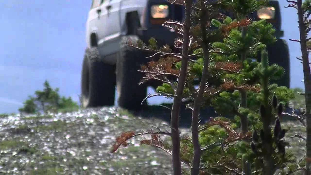 Morfee July 2014 - YouTube