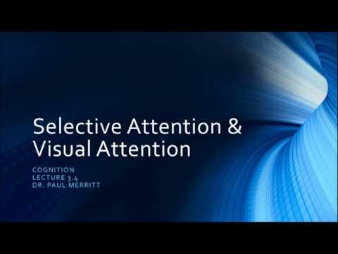 Cognition 3 4 Selective and Visual Attention - YouTube