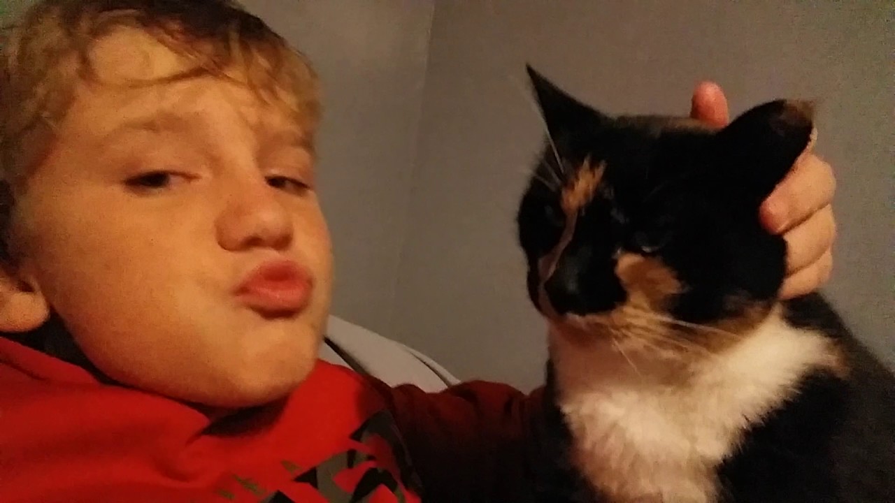 Kitty Blog - YouTube