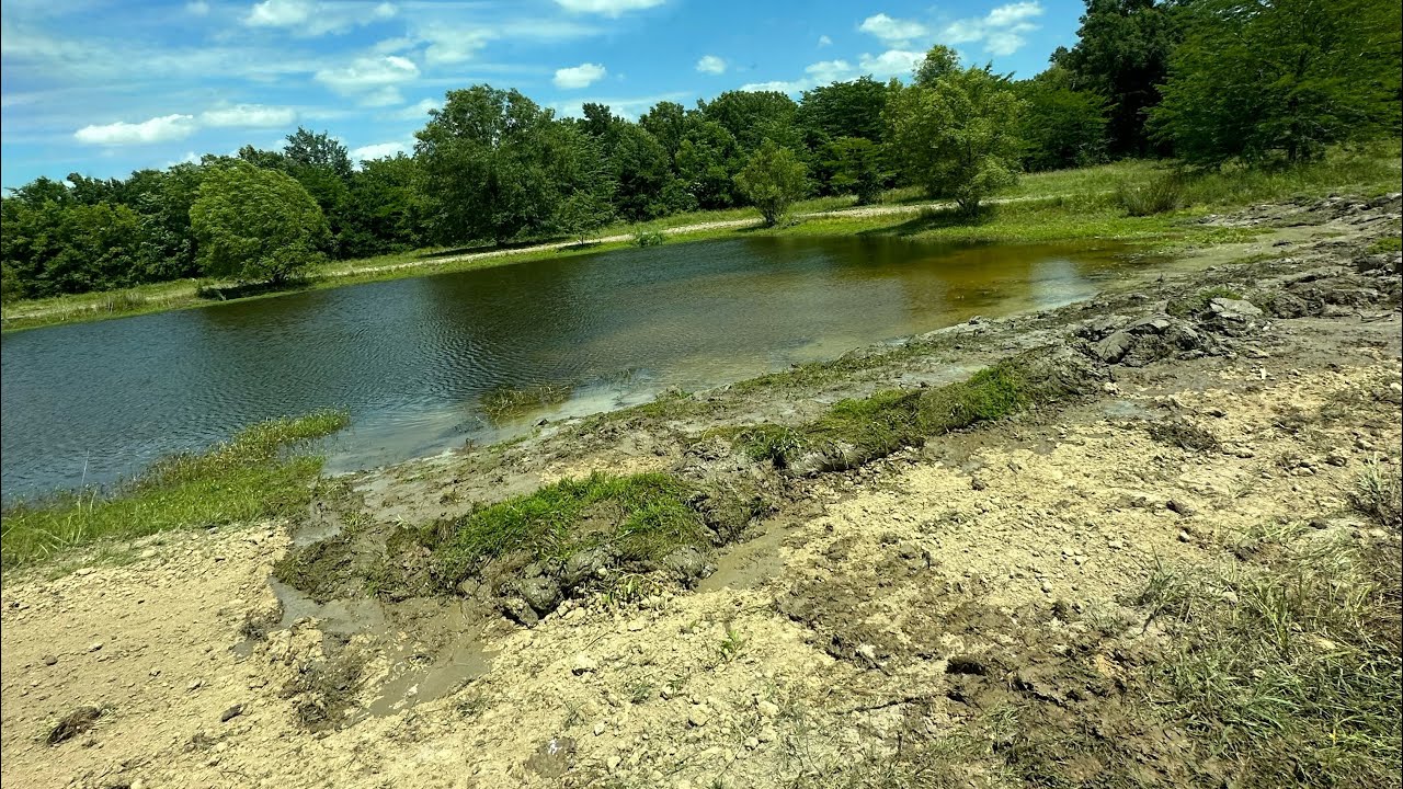 Gettin rid of levee and pond grass. - YouTube