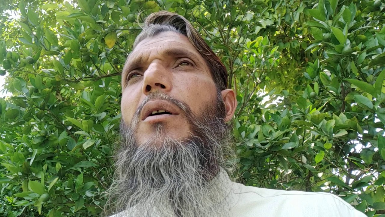 2.DAKHAN DAKHA QISAM PHOOLAN JÀNATKAY DIYDARANMAY ANOKHAY HOO. - YouTube