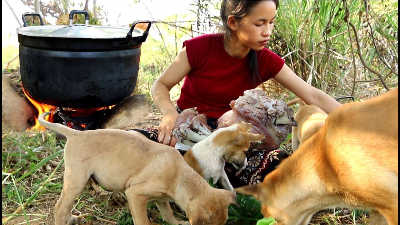 Cooking pig leg for dog eating - Yummy Cooking pig leg eating delicious ...