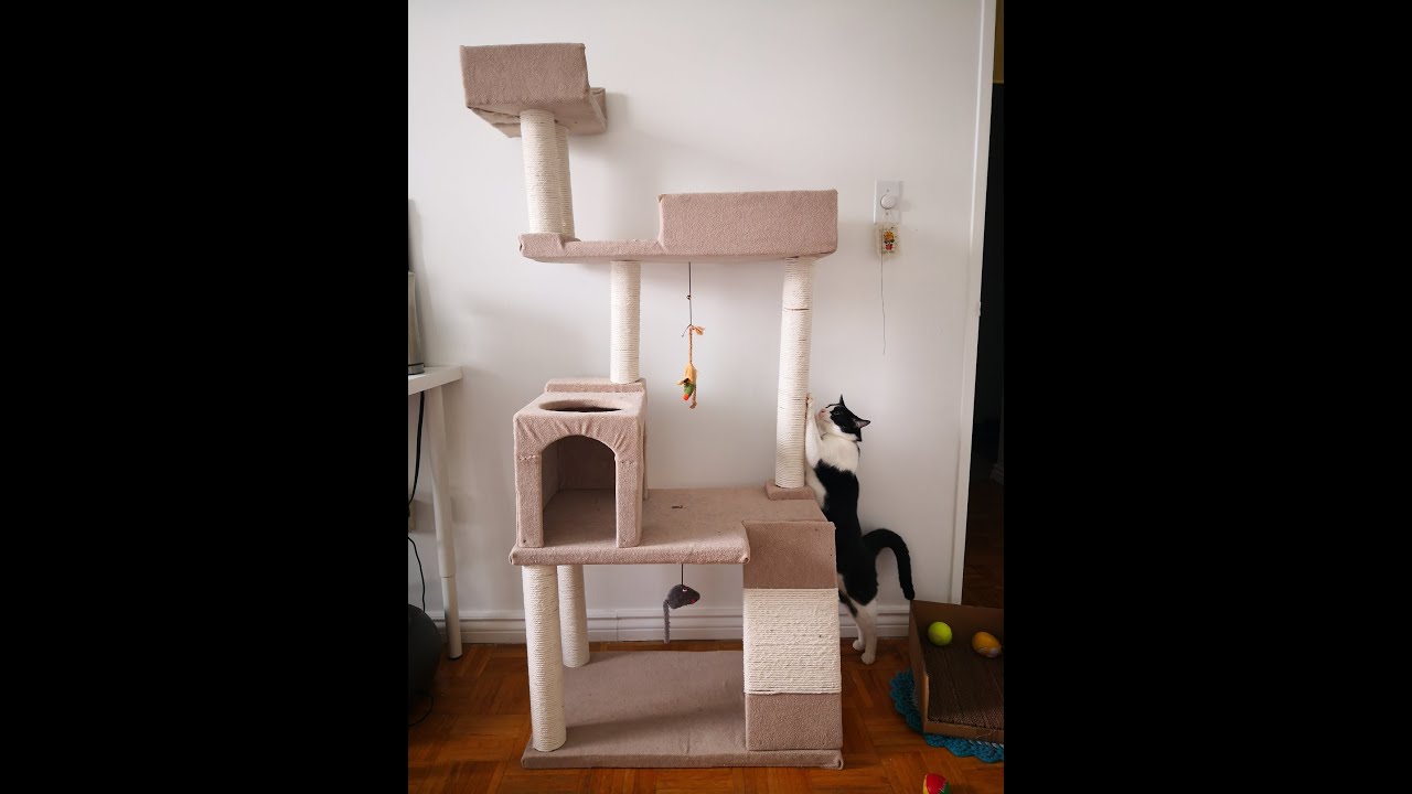 纸箱板猫树DIY/ Cardboard Cat Tree DIY #cardboard #cattree #猫树 #diy - YouTube