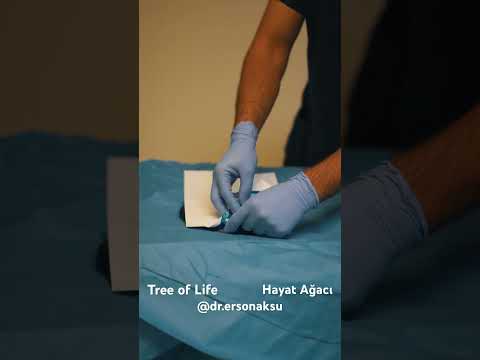 Hayat Ağacı - Tree of Life