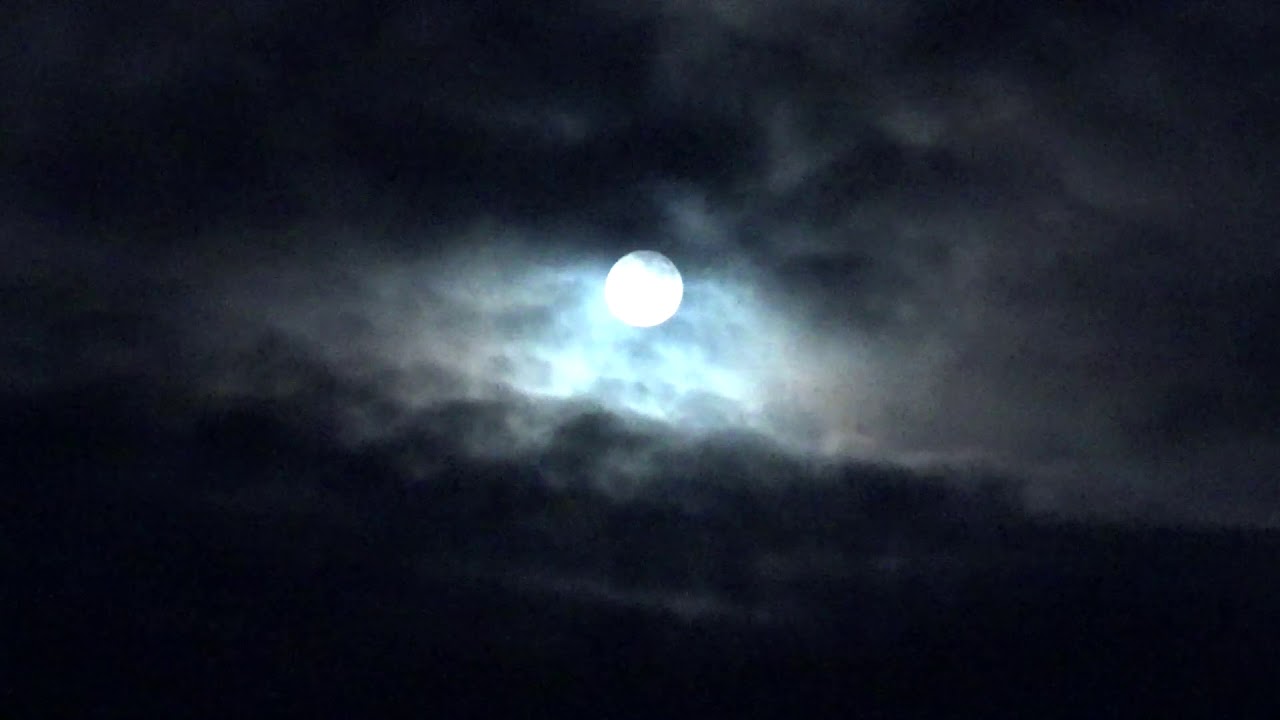 Bark at the moon - YouTube