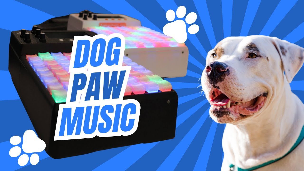 Dog Paw Instrument Inventor was inspired by his dog Hugo! - YouTube