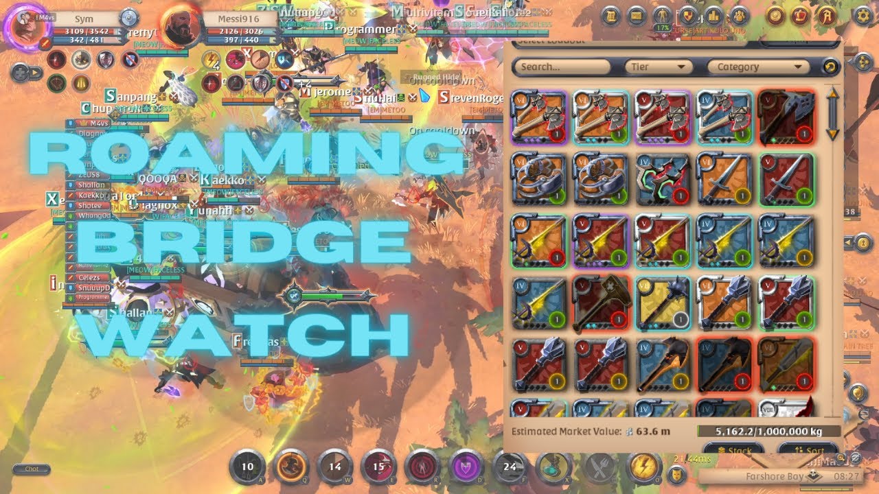 Faceless Roaming | Collecting 60M From Bridgewatch | Highlights ...