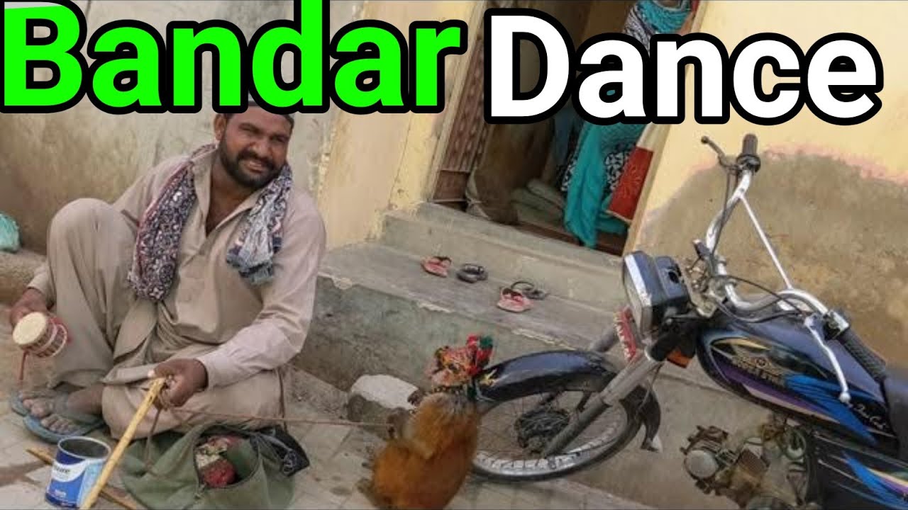 Bandar ka Tamasha | Monkey Funny Dance Bandar ka khel | younusKhanYt ...