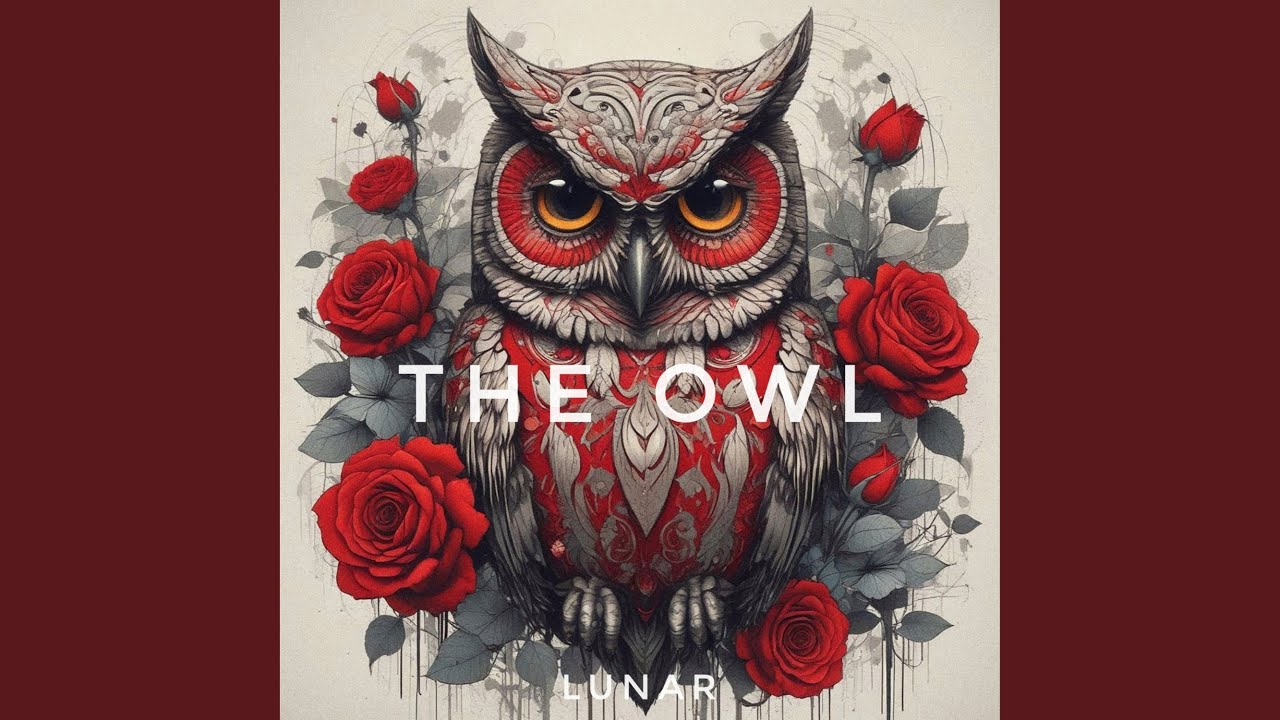 Moonlit Flight - YouTube