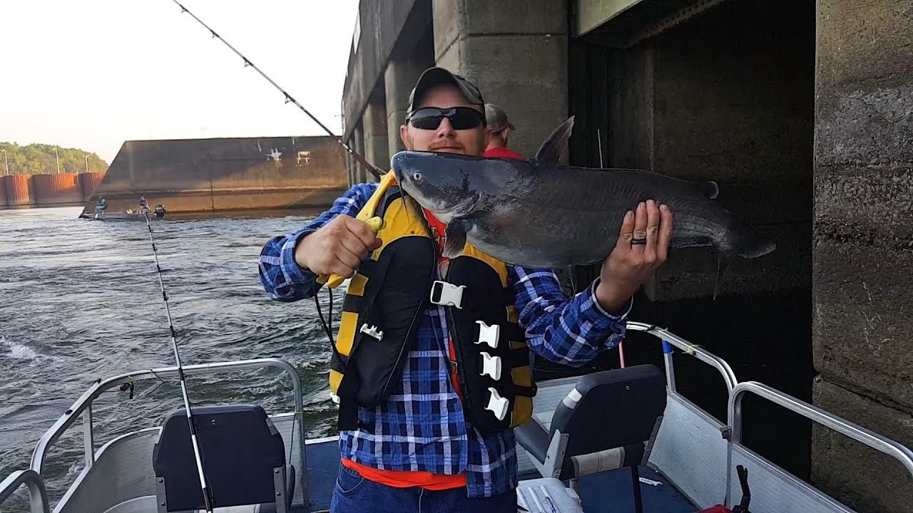 Labor Day Fishing Part 2 - YouTube