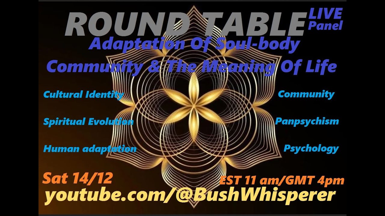 Adaptation Of Soul-body, Community & The Meaning Of Life - ROUND TABLE ...