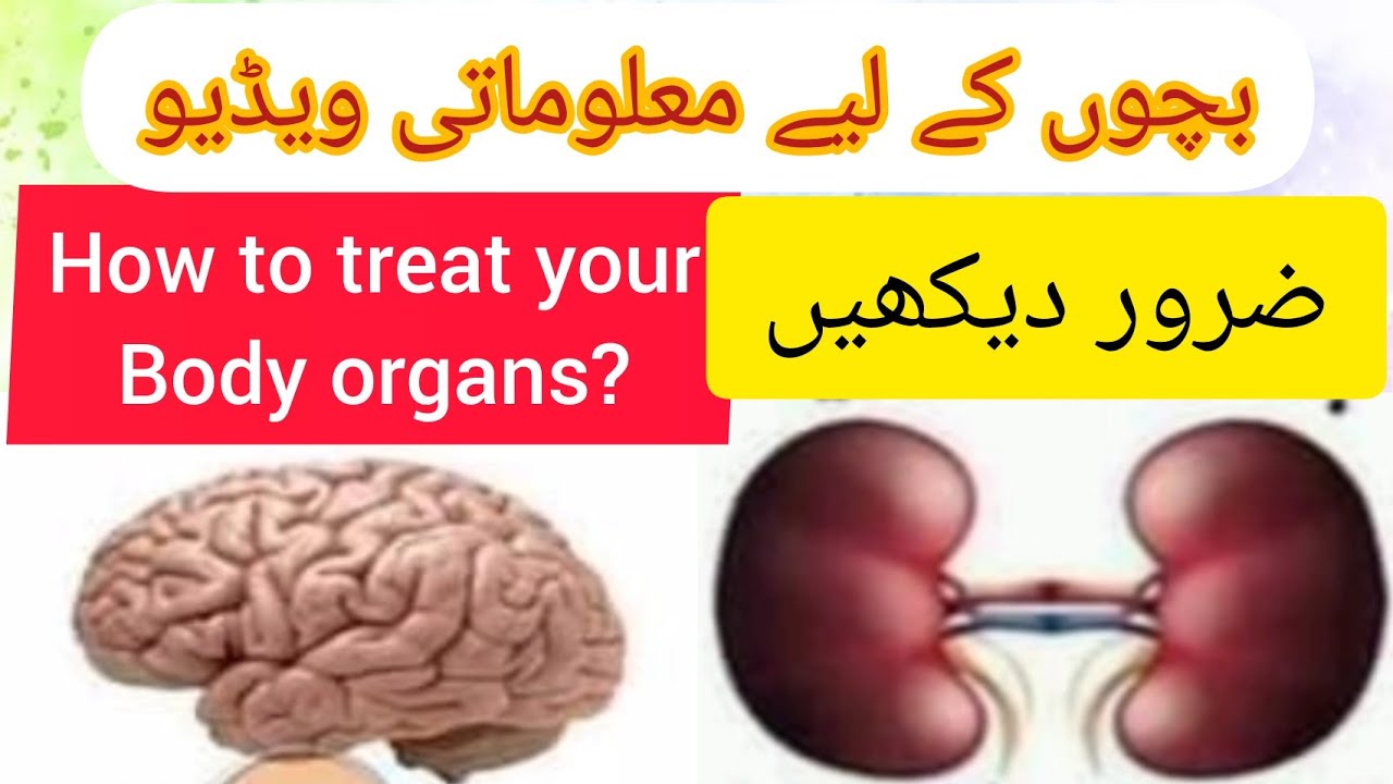 Informative video especially for kids.. Must watch.! - YouTube