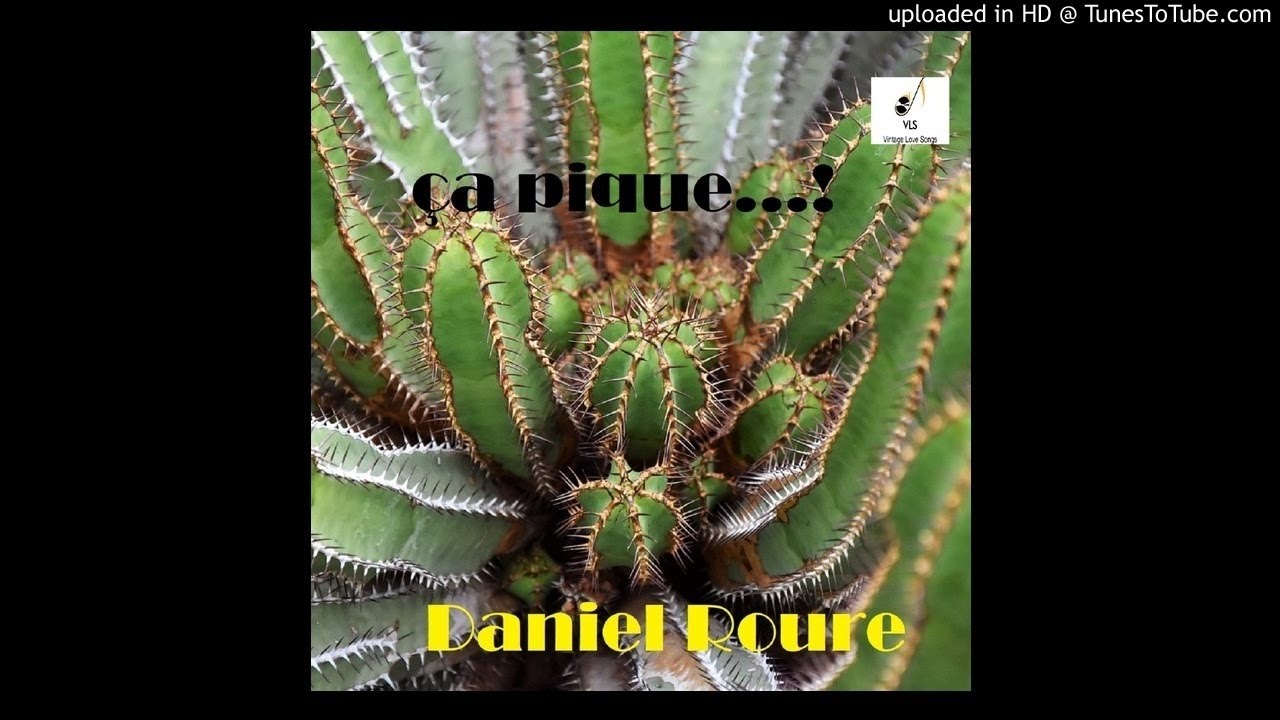 Daniel Roure chante "Ça_pique...!" - YouTube