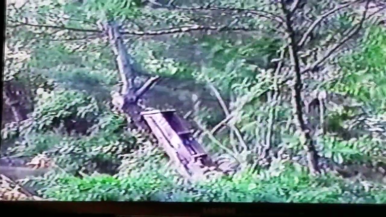 AFV people falling off ladders on Disney Plus 🪜 - YouTube