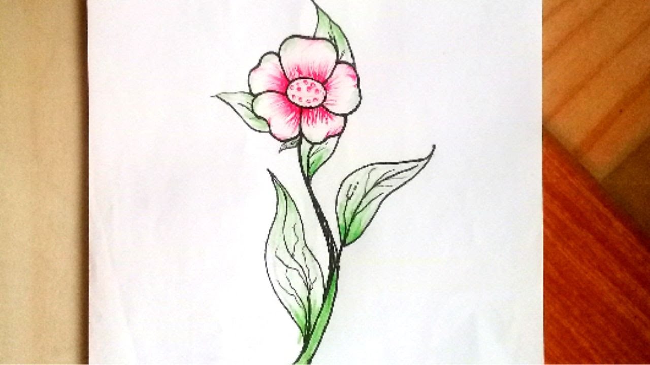 how to draw different types of flowers drawing easy step by step ...