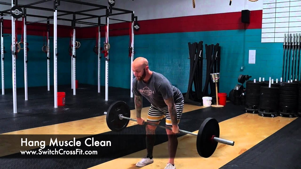 Muscle Clean Muscles Worked at Odis Langley blog