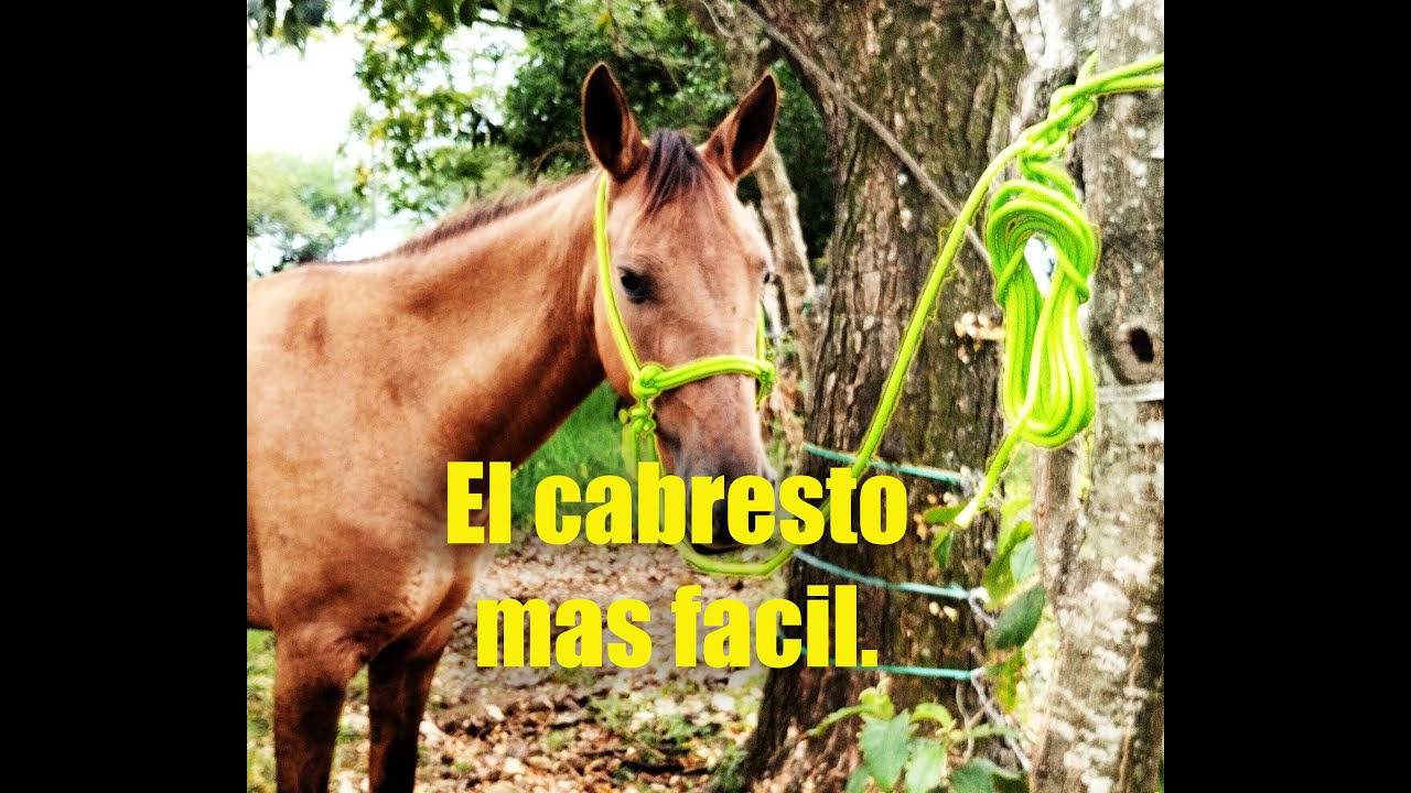 Como hago el cabezal o cabresto mas fácil. - YouTube