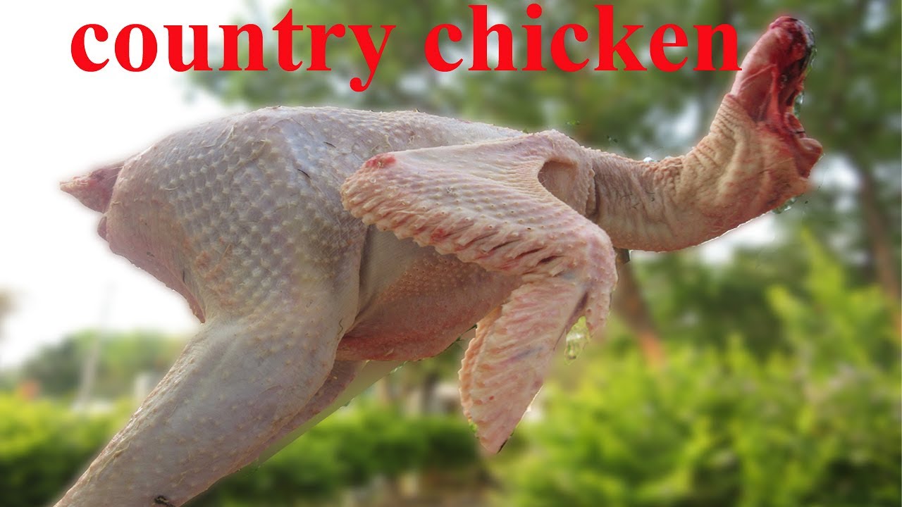 Grandma's Country Chicken Recipe in My Village | VILLAGE FOOD - YouTube