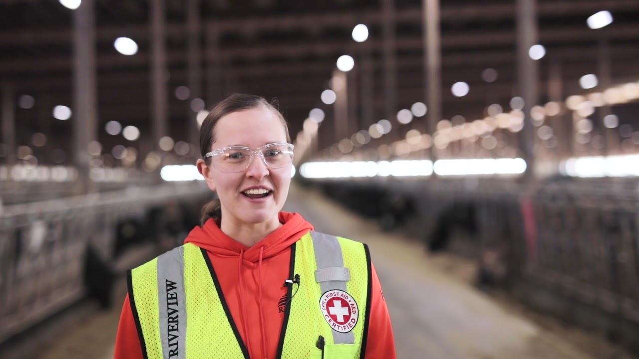 Careers in Agriculture: Riverview Dairy - YouTube