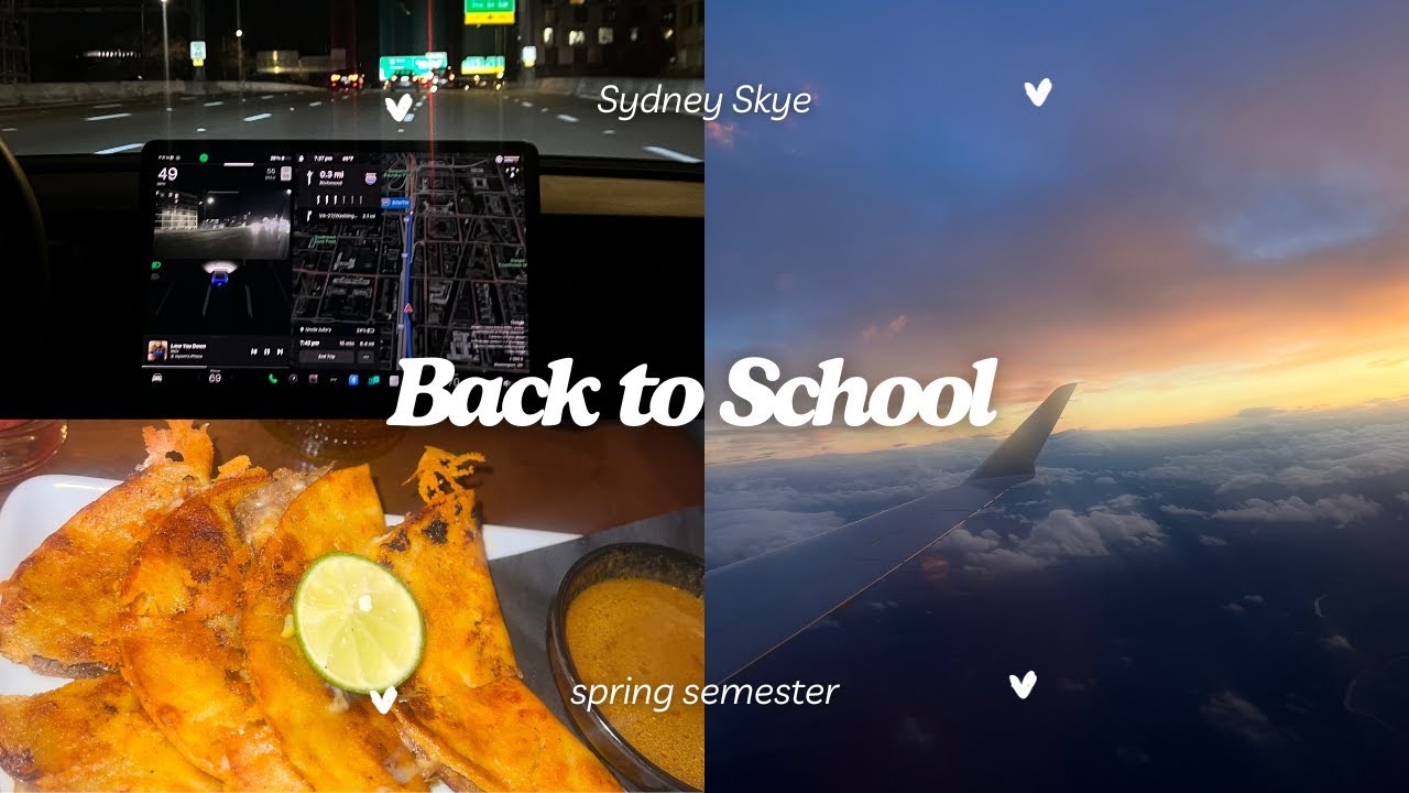 Back to School + Spring Semester💛🌻 - YouTube