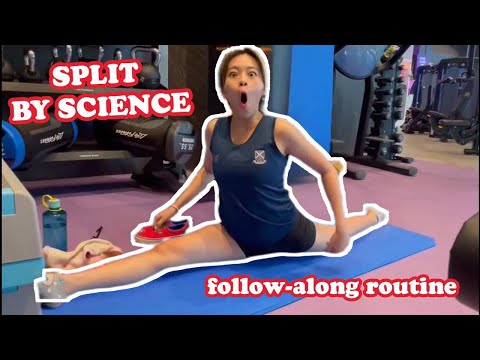 How to do the FRONT SPLITS FAST | follow-along routine