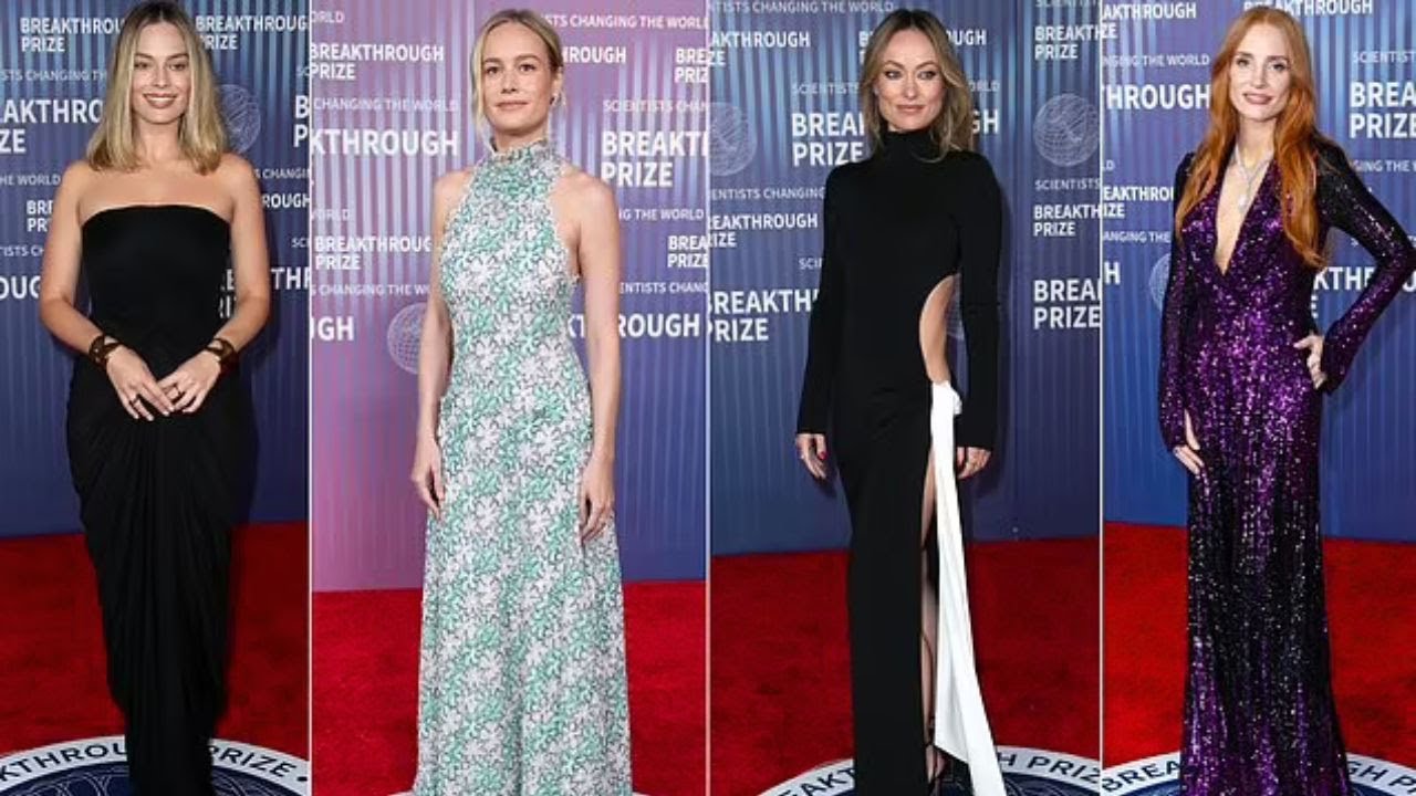 New Update!! Breaking News Of Margot Robbie, Jessica Chastain, Olivia ...