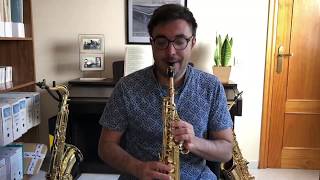 Adjusting the Saxgourmet neck - Adolphesax