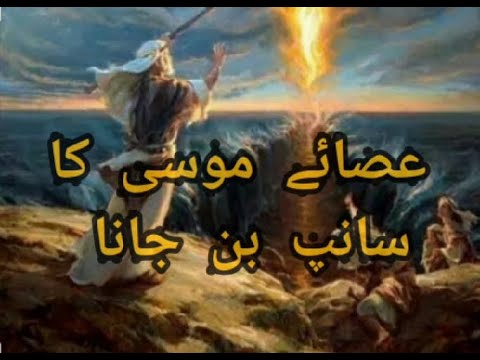 Hazrat Moosa Prophet - YouTube