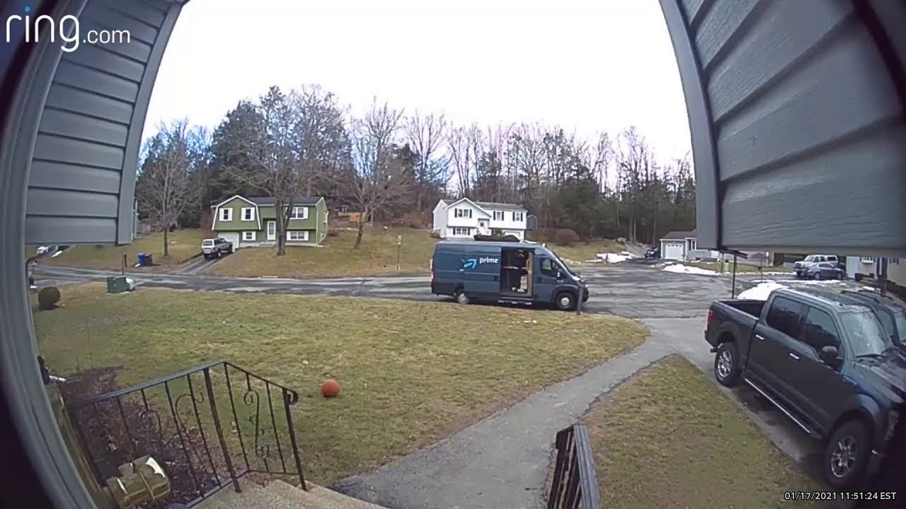 Wild Turkeys Scare Amazon Delivery Driver || ViralHog - YouTube