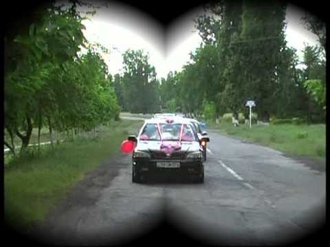 QORCILIS KOLONA KAXSHI