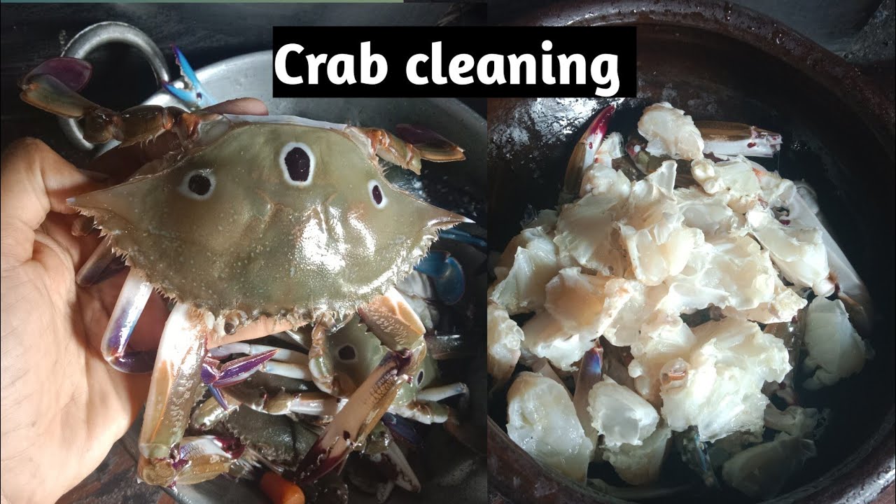 How to clean crab /ഞണ്ട് എങ്ങനെ വൃത്തിയാക്കാം? - YouTube