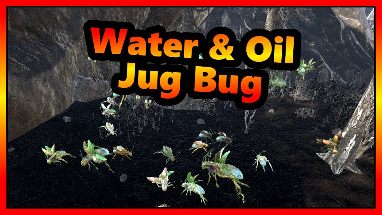Is the Jug Bug Tameable? Yes! But... - YouTube