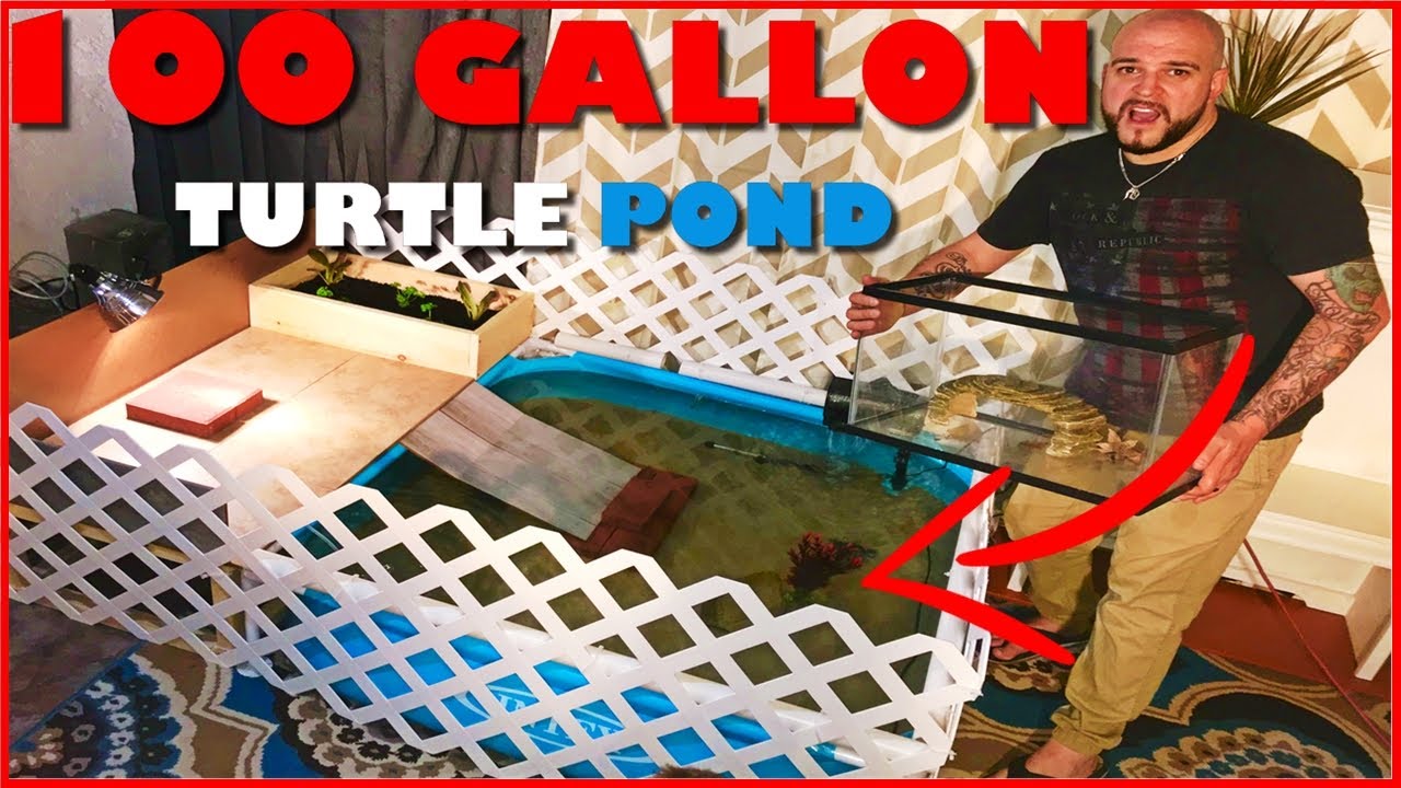 *DIY* MASSIVE 100 GALLON POOL POND TURTLE SETUP - YouTube